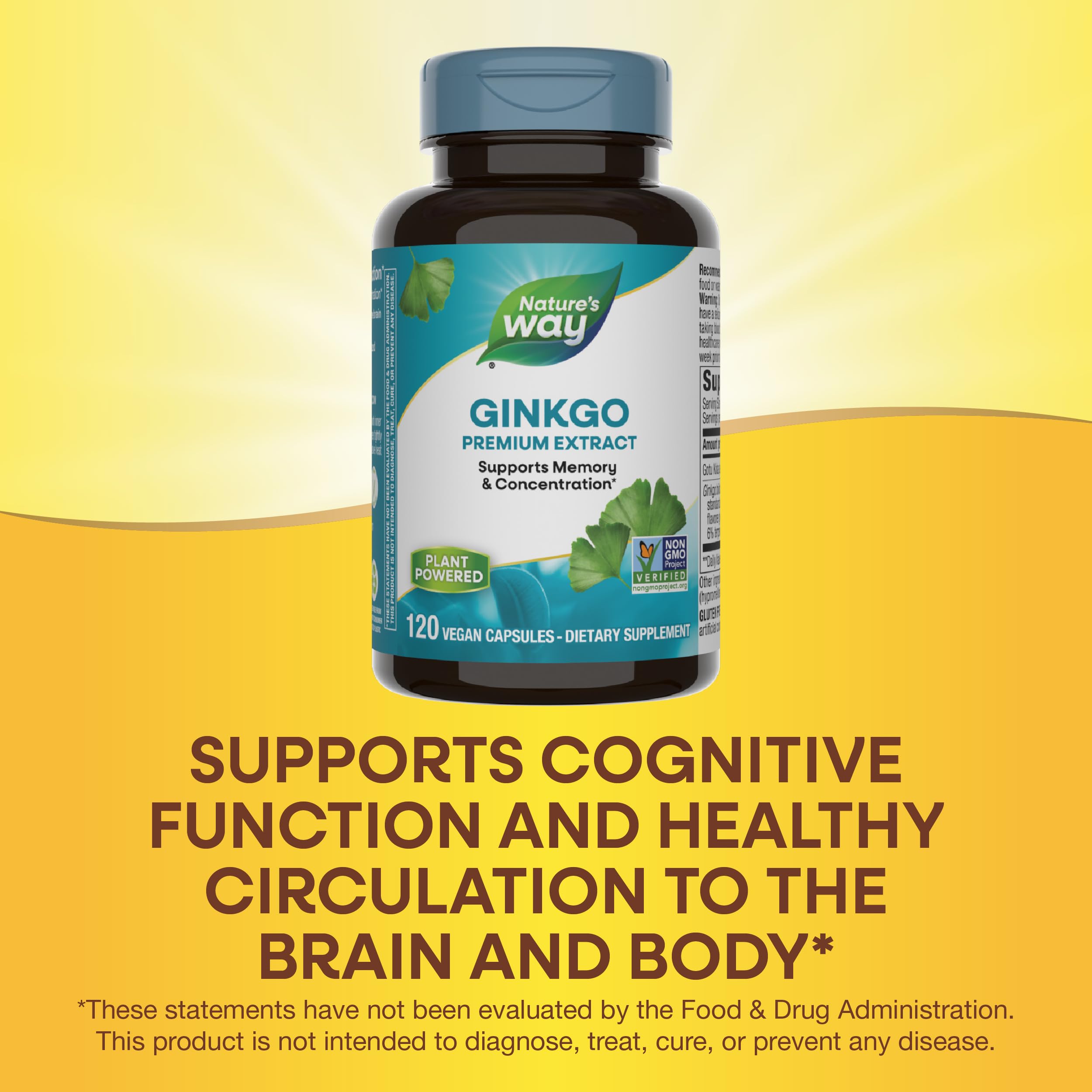 ginkgo biloba extract for brain function