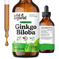 ginkgo biloba extract for brain health