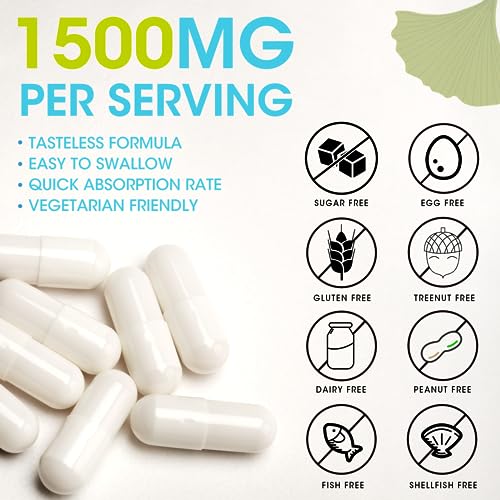 ginkgo biloba extract for brain support