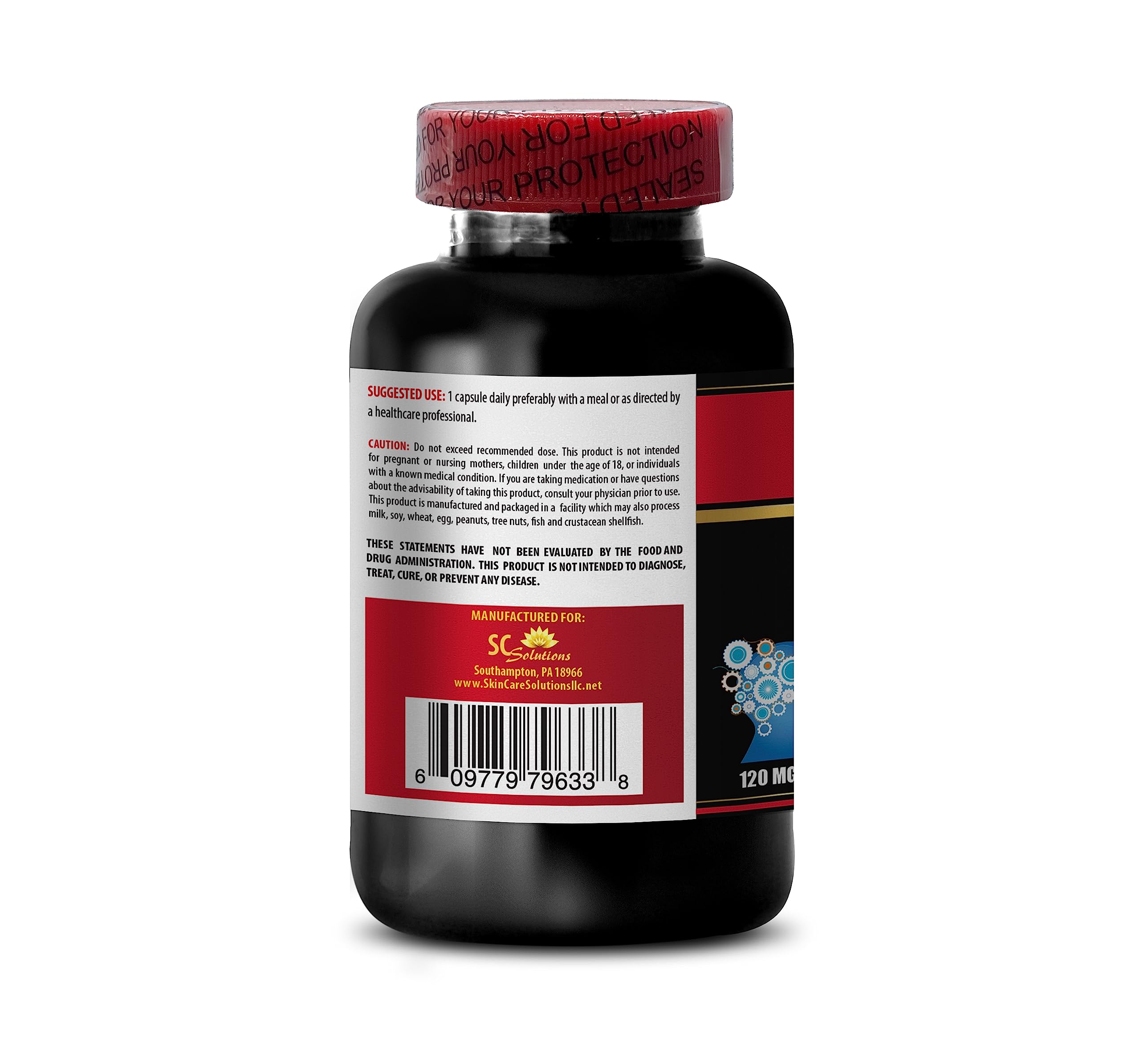 ginkgo biloba extract for cognitive support