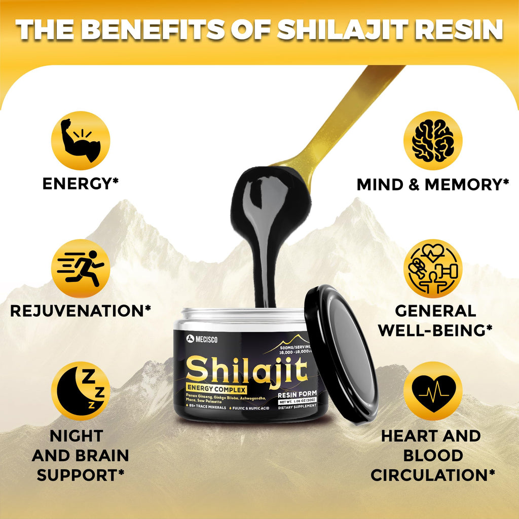 Ginkgo biloba extract for cognitive support