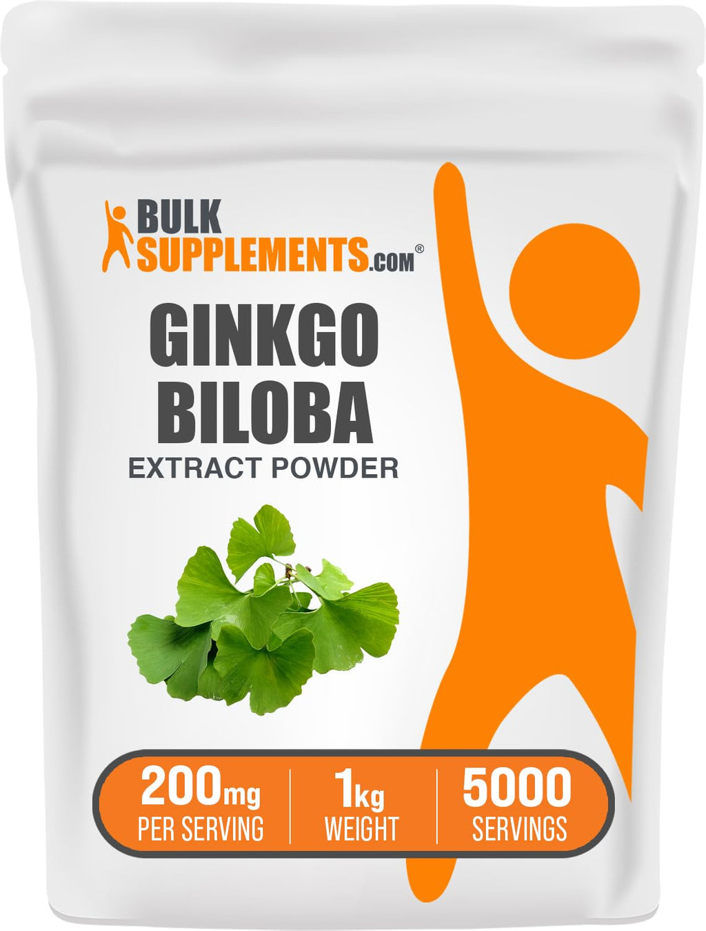ginkgo biloba extract for cognitive support