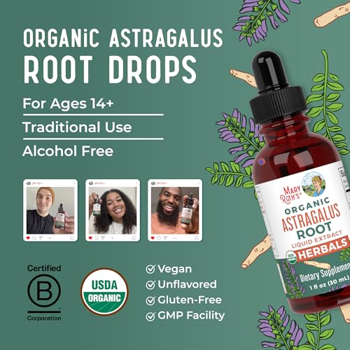 ginkgo biloba extract for cognitive support