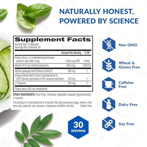 ginkgo biloba extract for daily energy