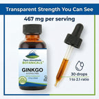 ginkgo biloba extract for energy boost