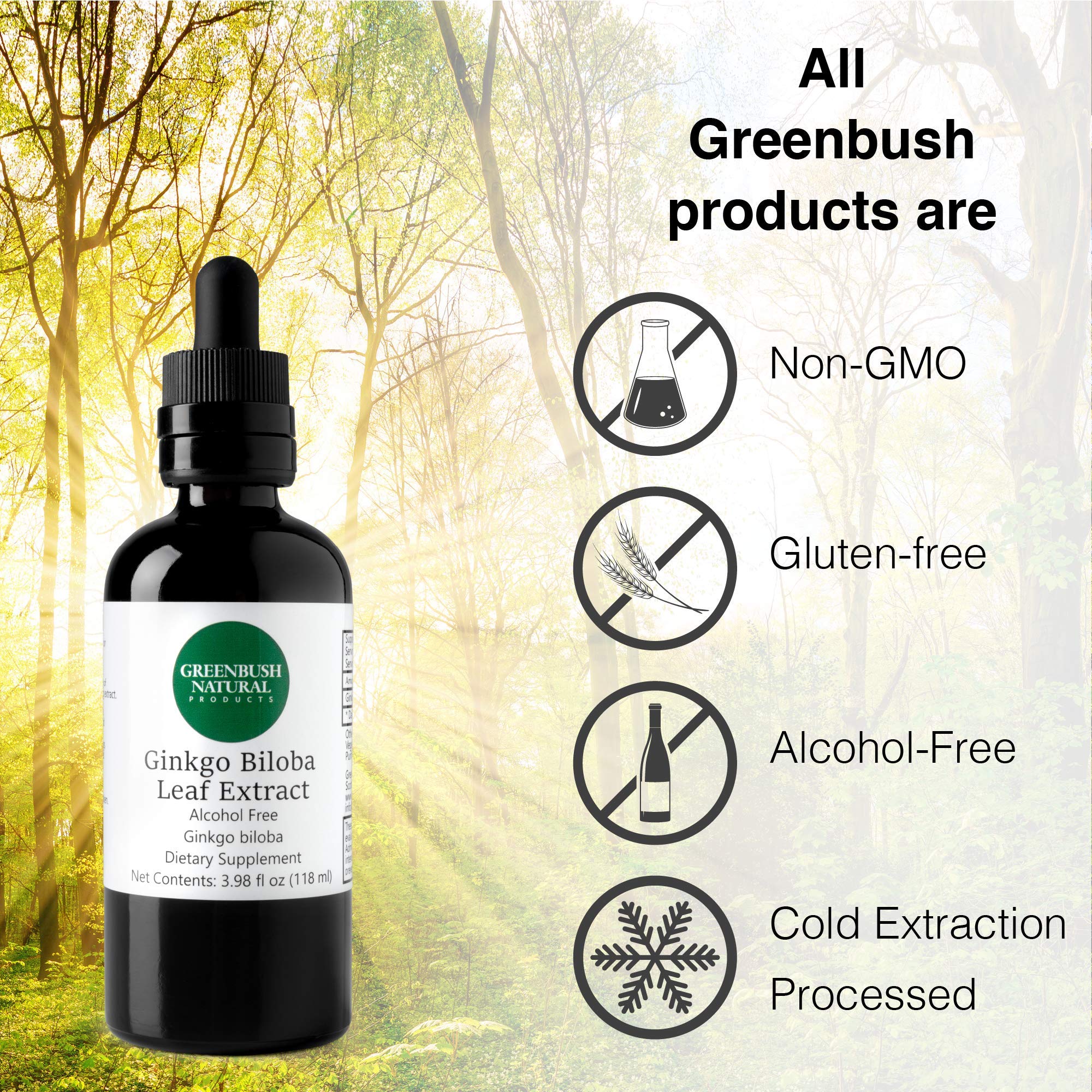 ginkgo biloba extract for everyday use