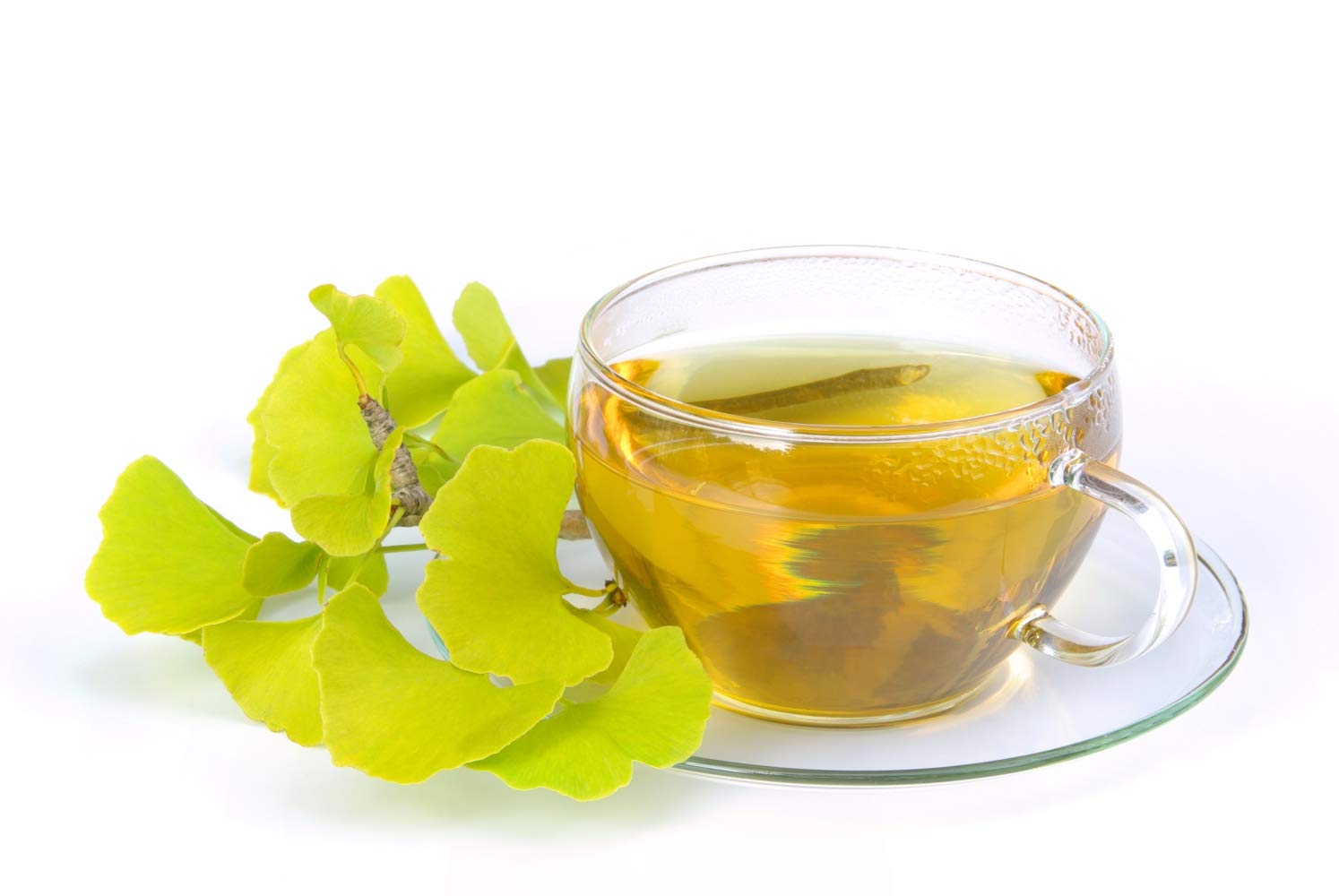 ginkgo biloba extract for focus