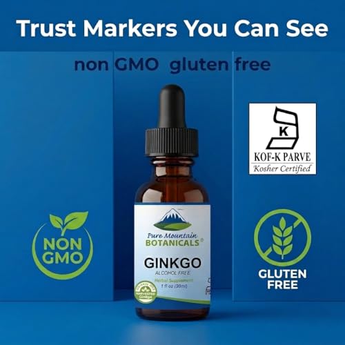 ginkgo biloba extract for focus