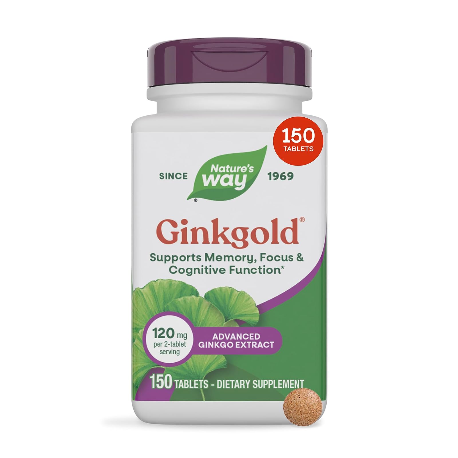 ginkgo biloba extract for memory support