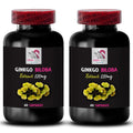 ginkgo biloba extract for memory support