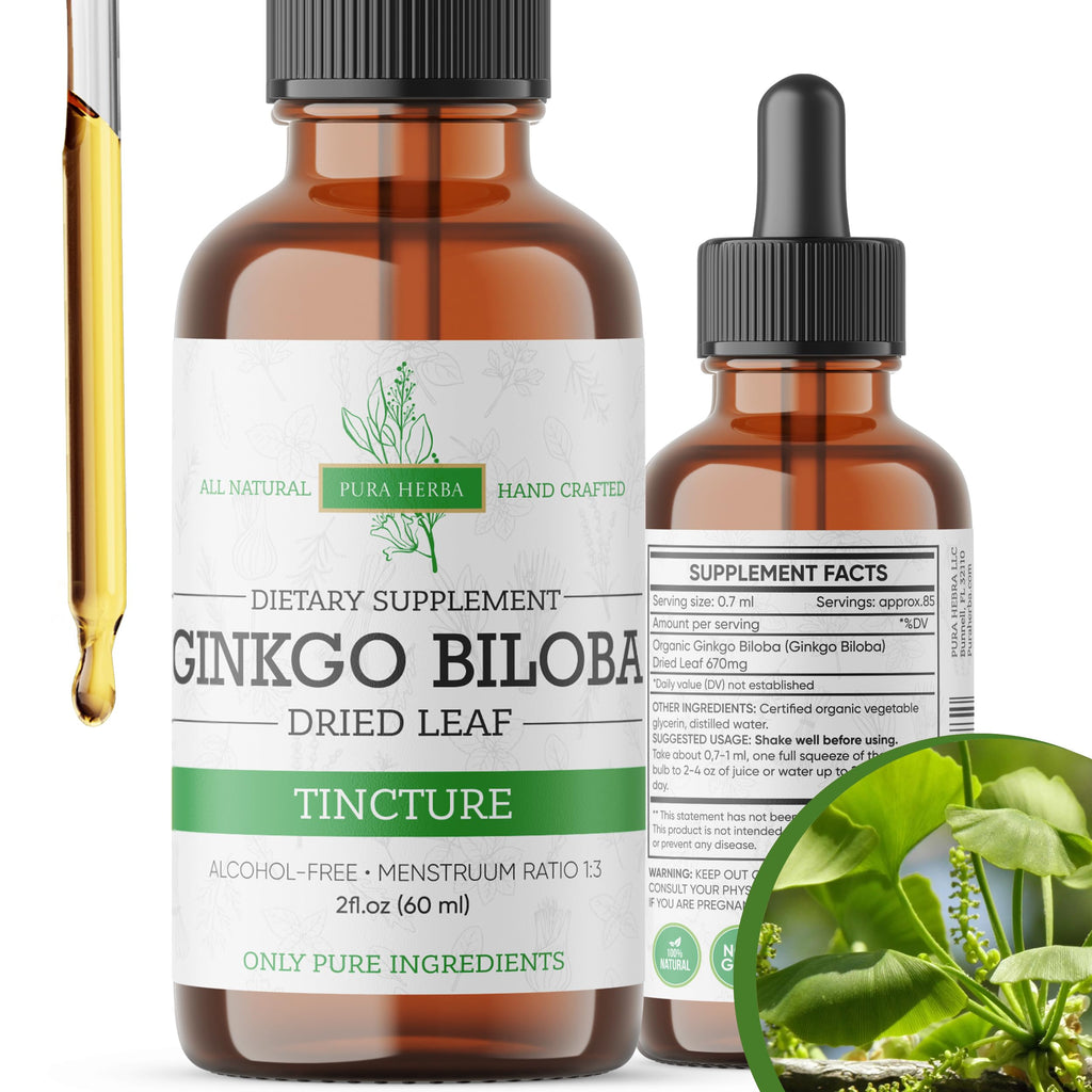 ginkgo biloba extract for memory support