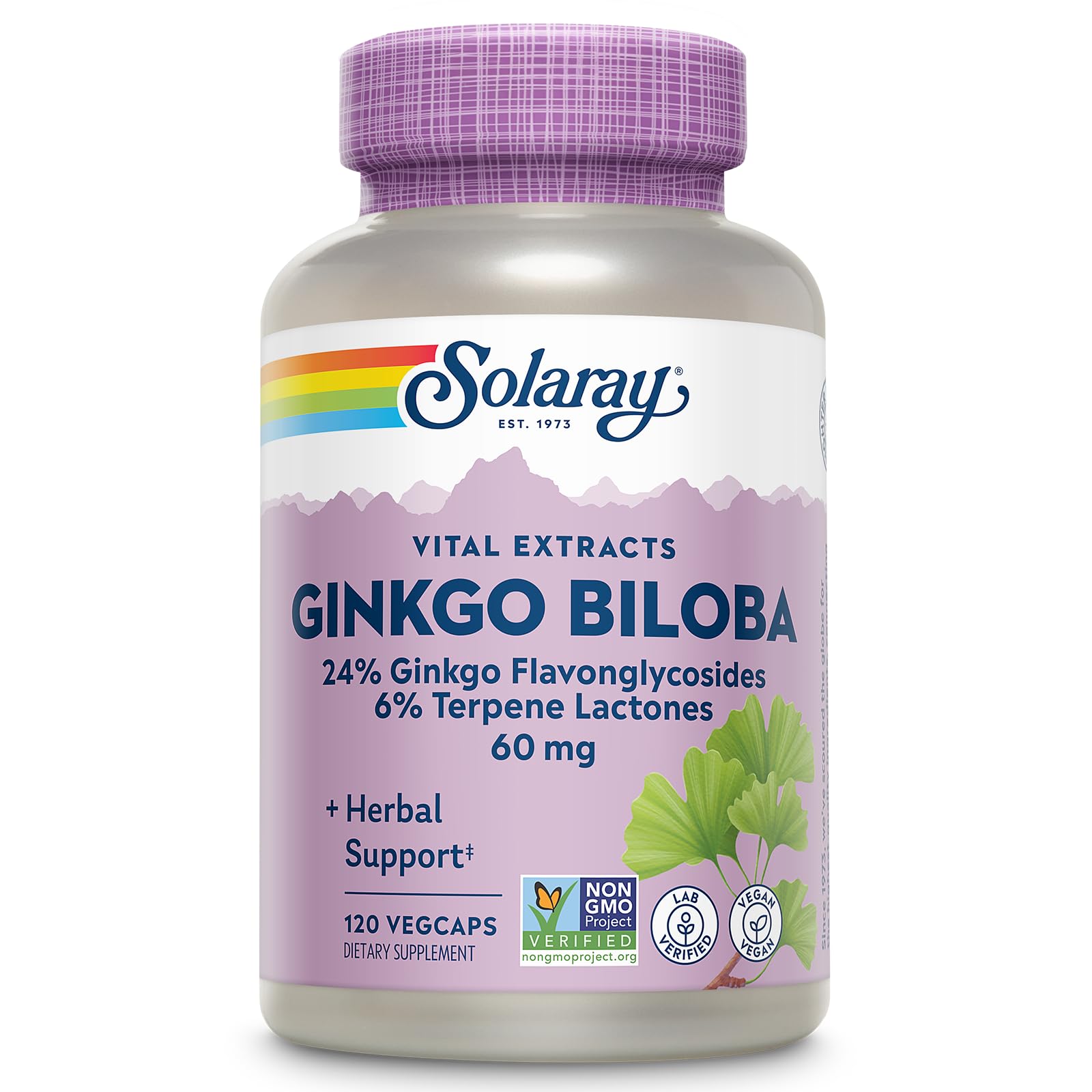 ginkgo biloba extract for memory