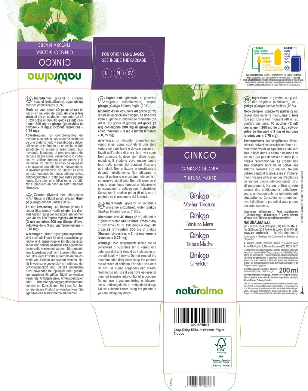 ginkgo biloba extract for memory