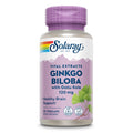 ginkgo biloba extract for memory