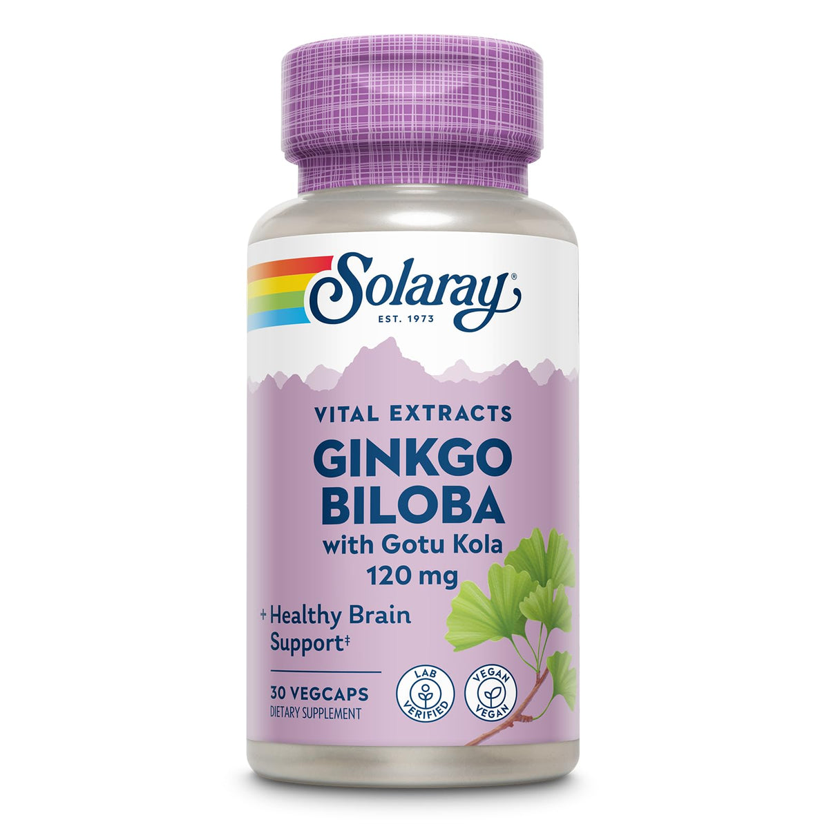 ginkgo biloba extract for memory