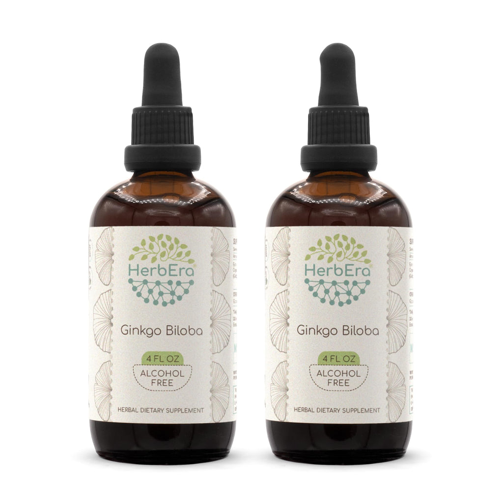 ginkgo biloba extract for memory