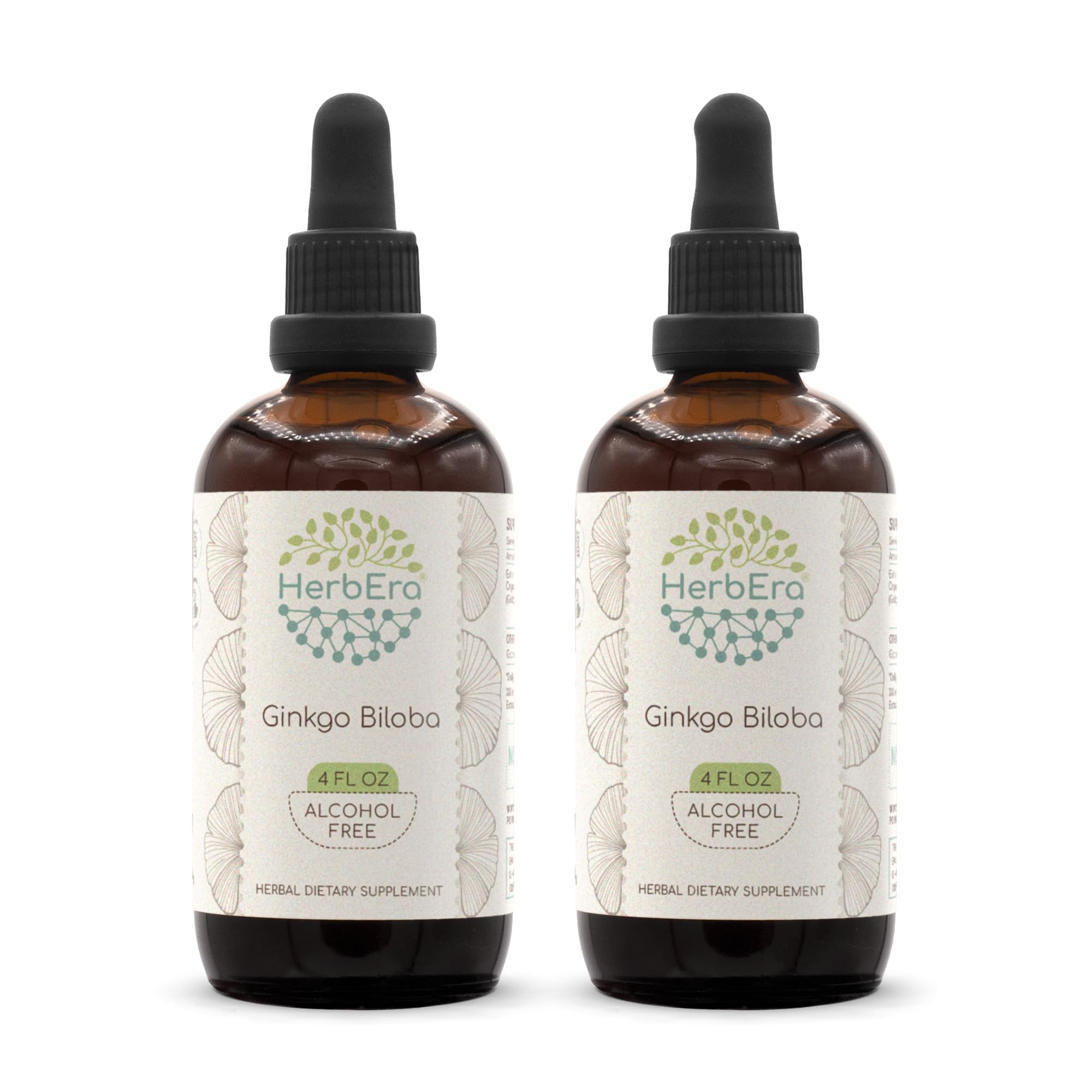 ginkgo biloba extract for memory