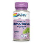 ginkgo biloba extract for memory