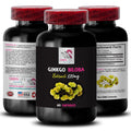 ginkgo biloba extract for memory