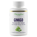 ginkgo biloba extract for mental clarity