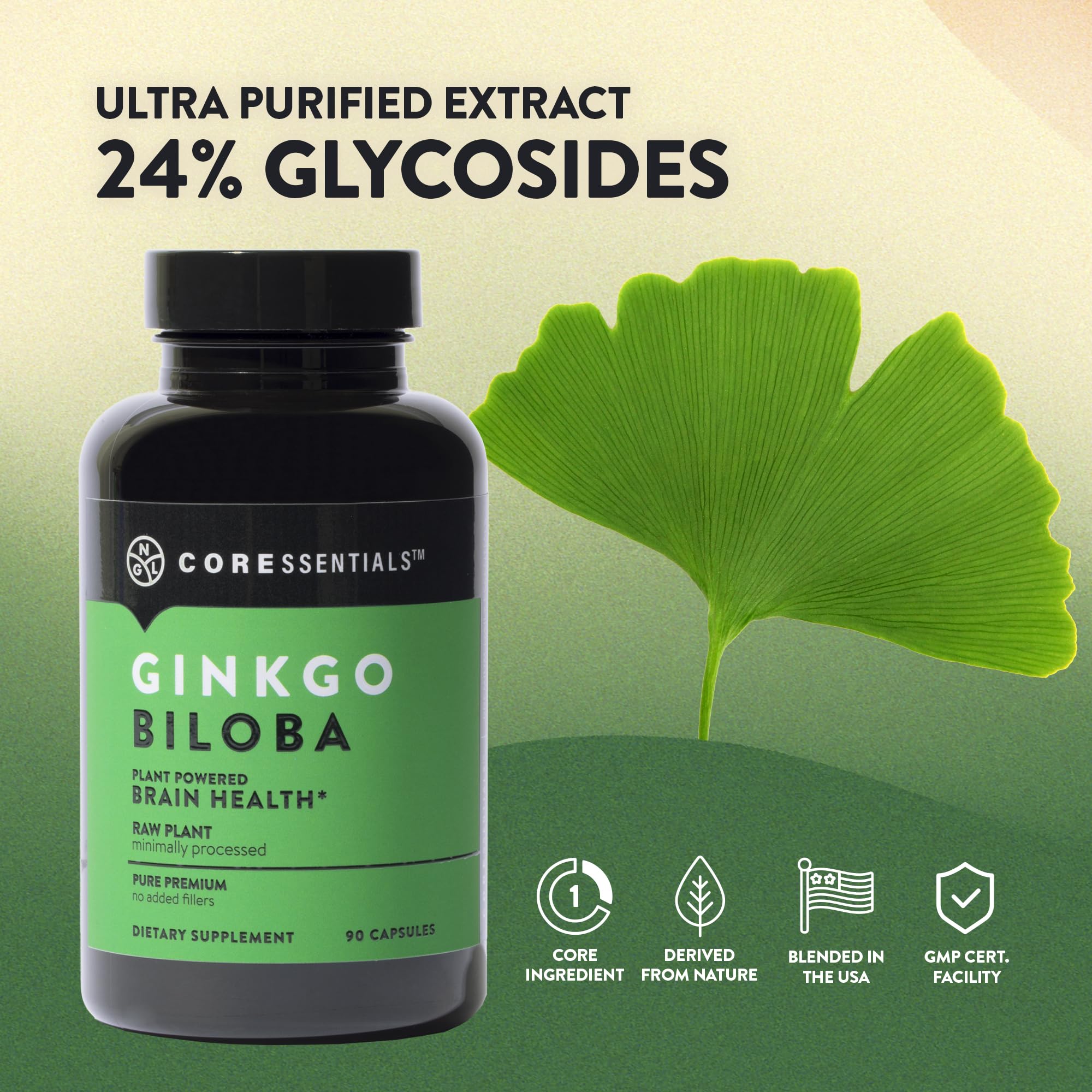 ginkgo biloba extract for mental clarity