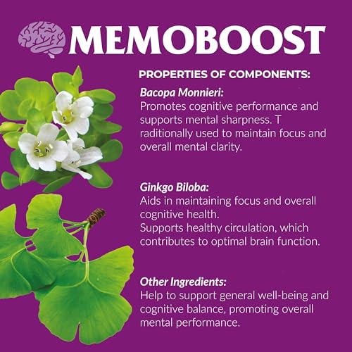 ginkgo biloba extract for mental clarity