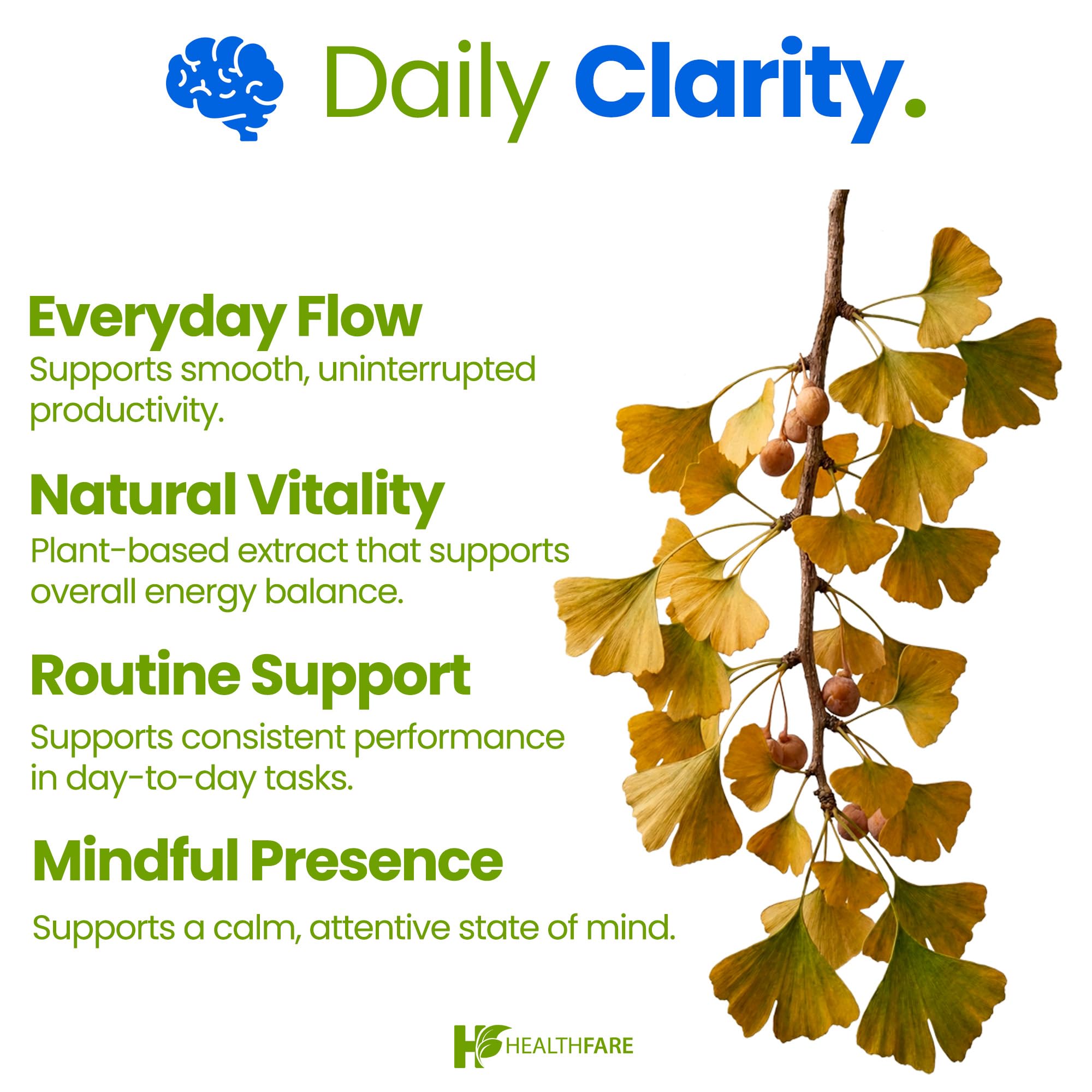 ginkgo biloba extract for mental clarity