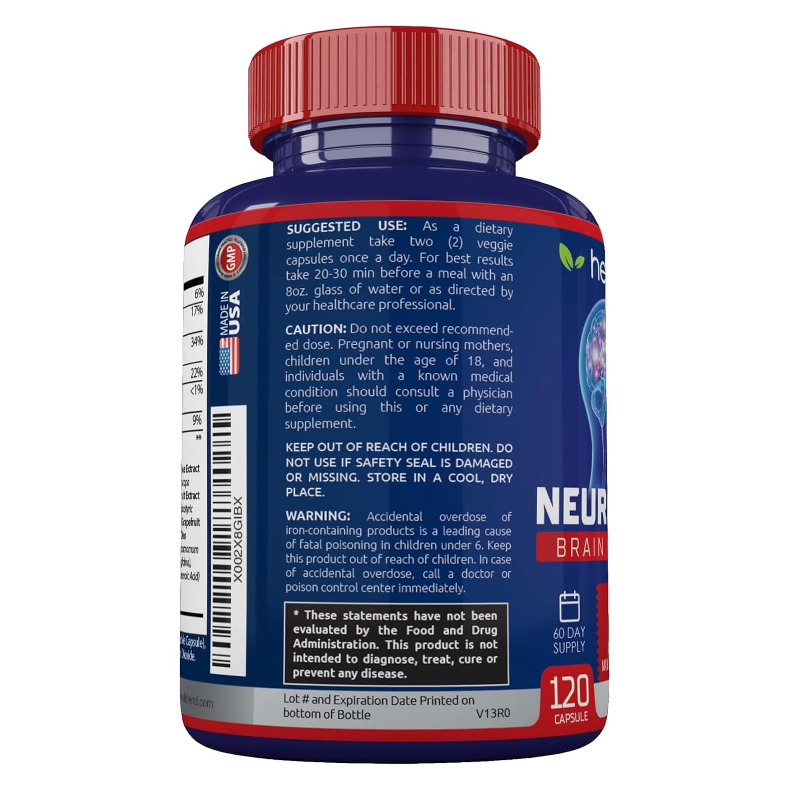 ginkgo biloba extract for mental performance