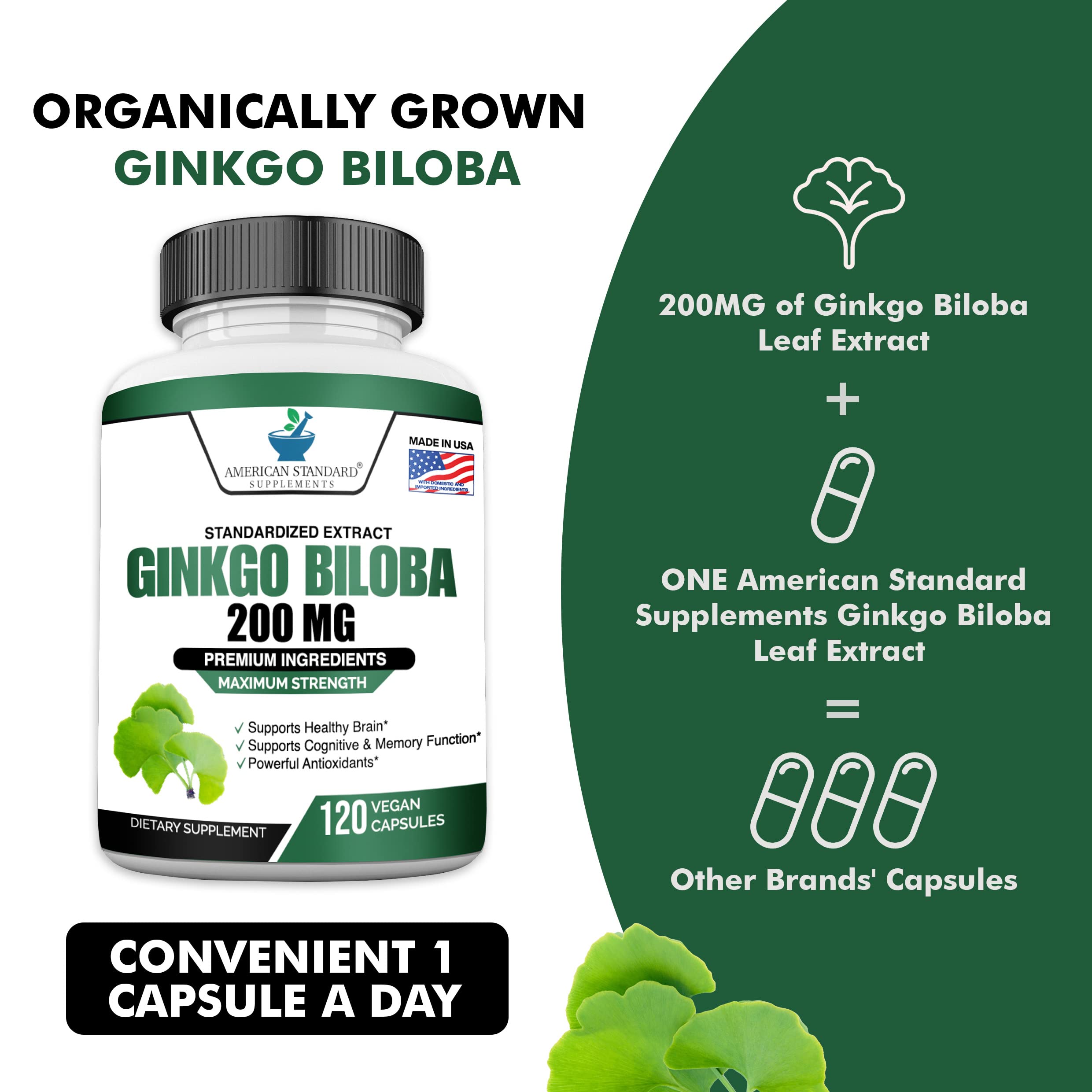 ginkgo biloba extract for overall wellness