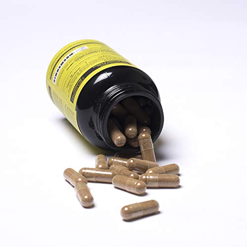 ginkgo biloba extract for tinnitus relief