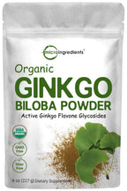 ginkgo biloba extract powder benefits