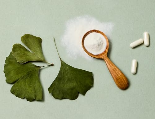 ginkgo biloba extract supports mental clarity