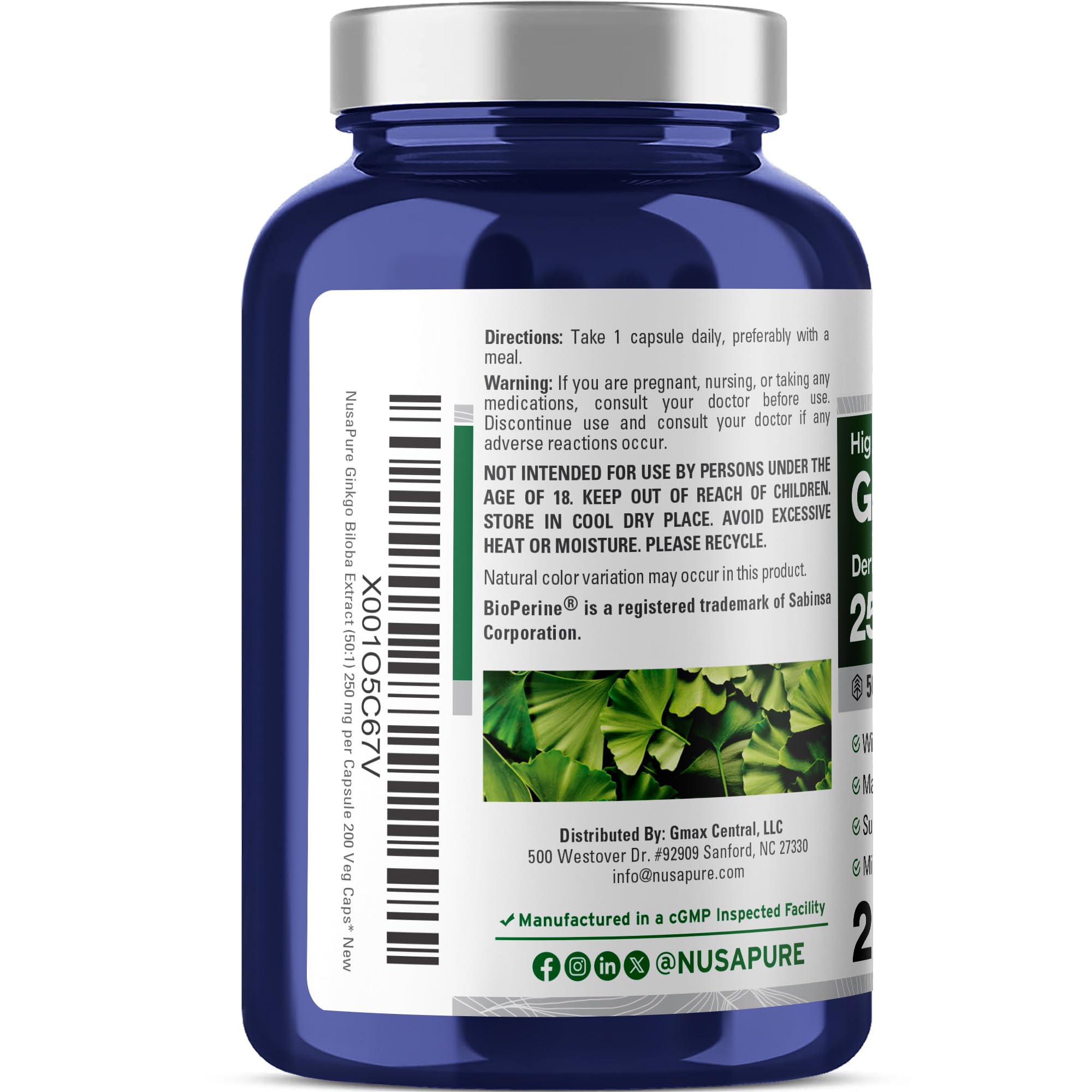 ginkgo biloba extract with BioPerine