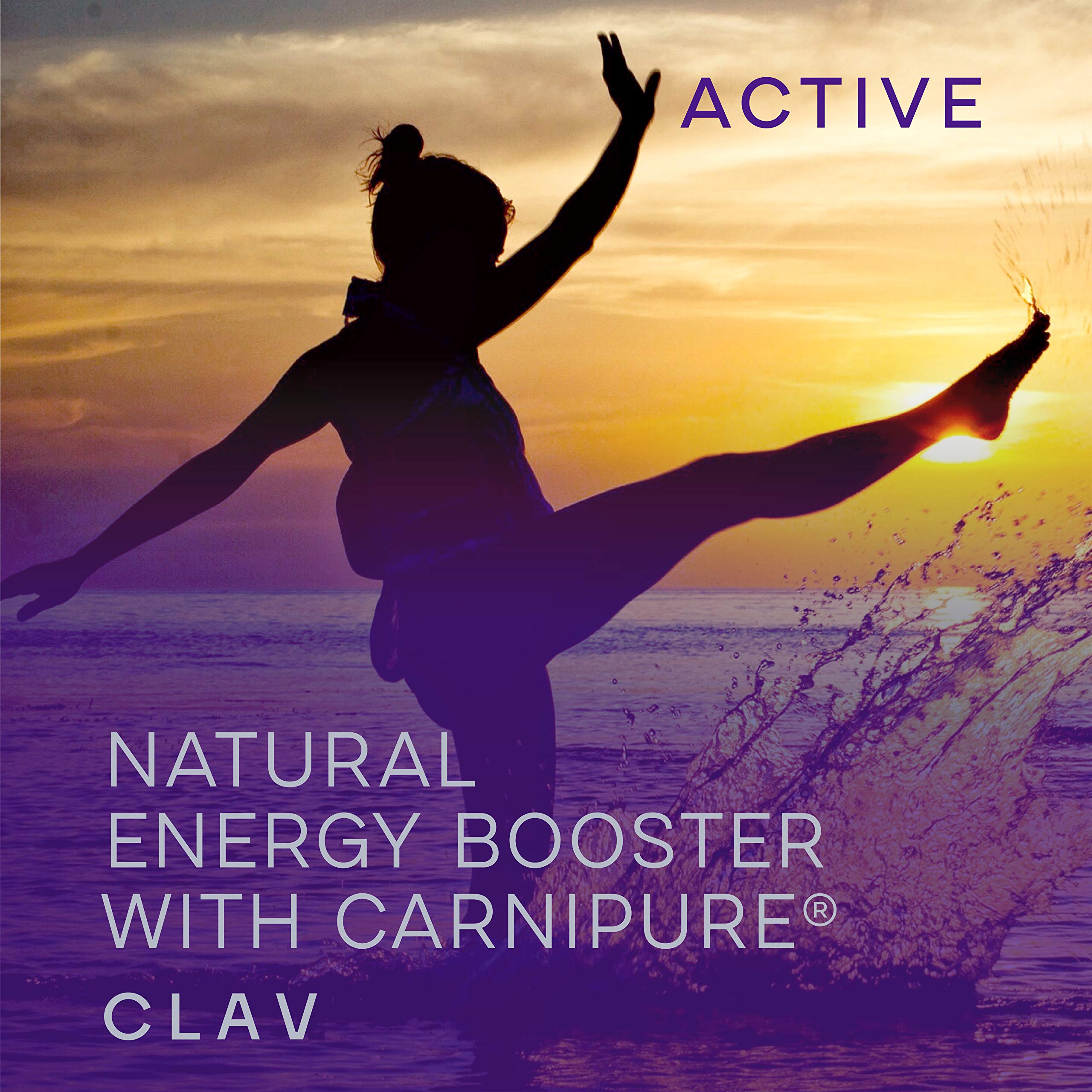 ginkgo biloba focus and memory boost