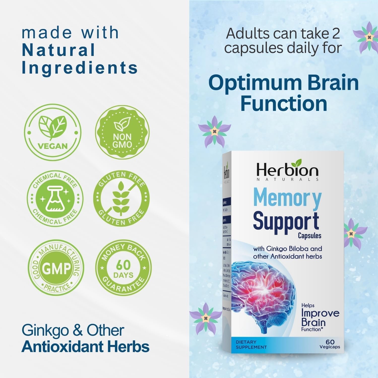 ginkgo biloba for better brain health