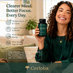 Ginkgo Biloba for better memory retention