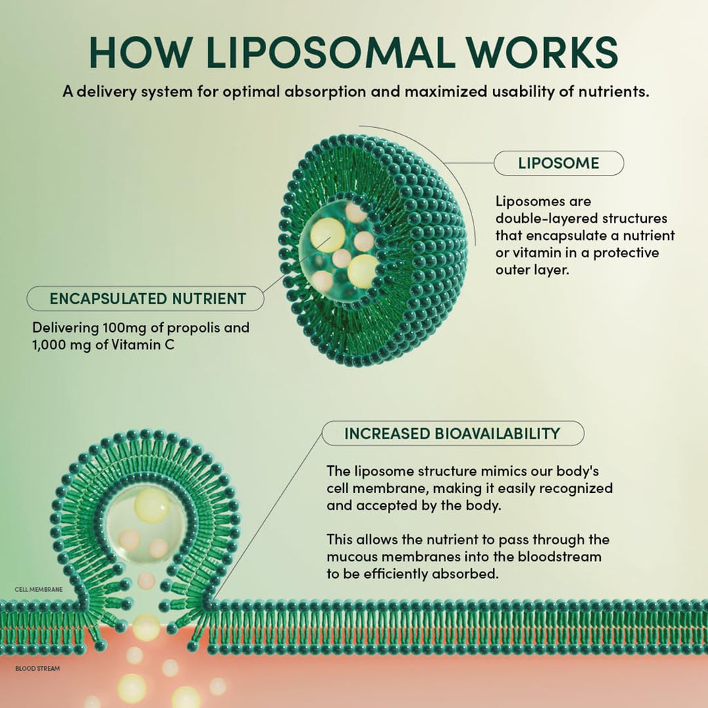 ginkgo biloba for better memory retention