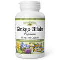 ginkgo biloba for brain health