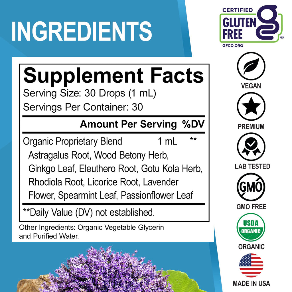 ginkgo biloba for cognitive function