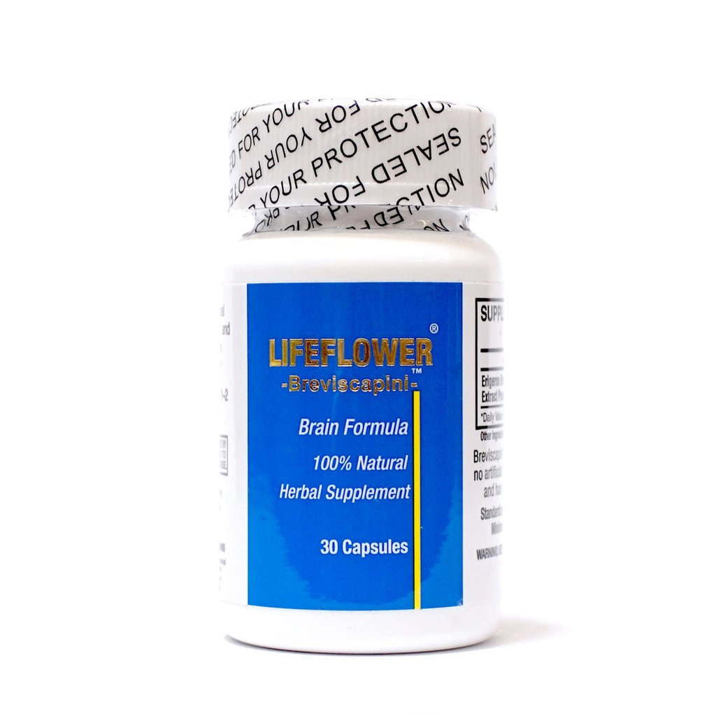 Ginkgo Biloba for cognitive function