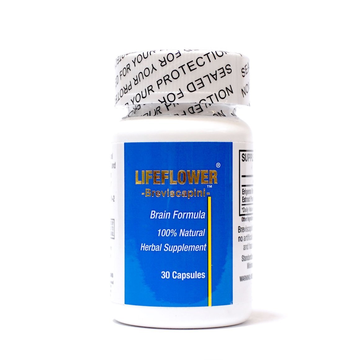 Ginkgo Biloba for cognitive function
