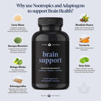ginkgo biloba for cognitive health