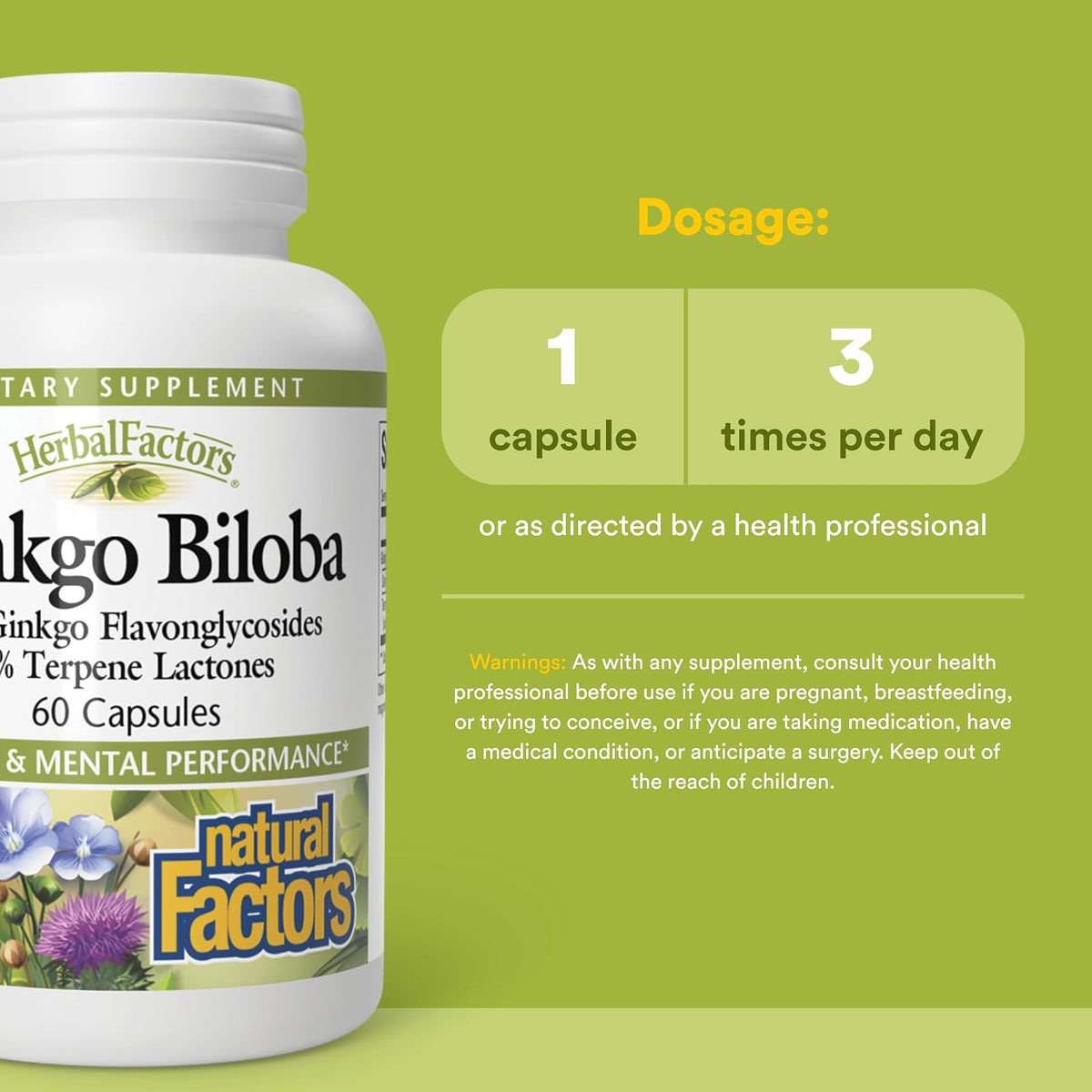 Ginkgo Biloba for cognitive health