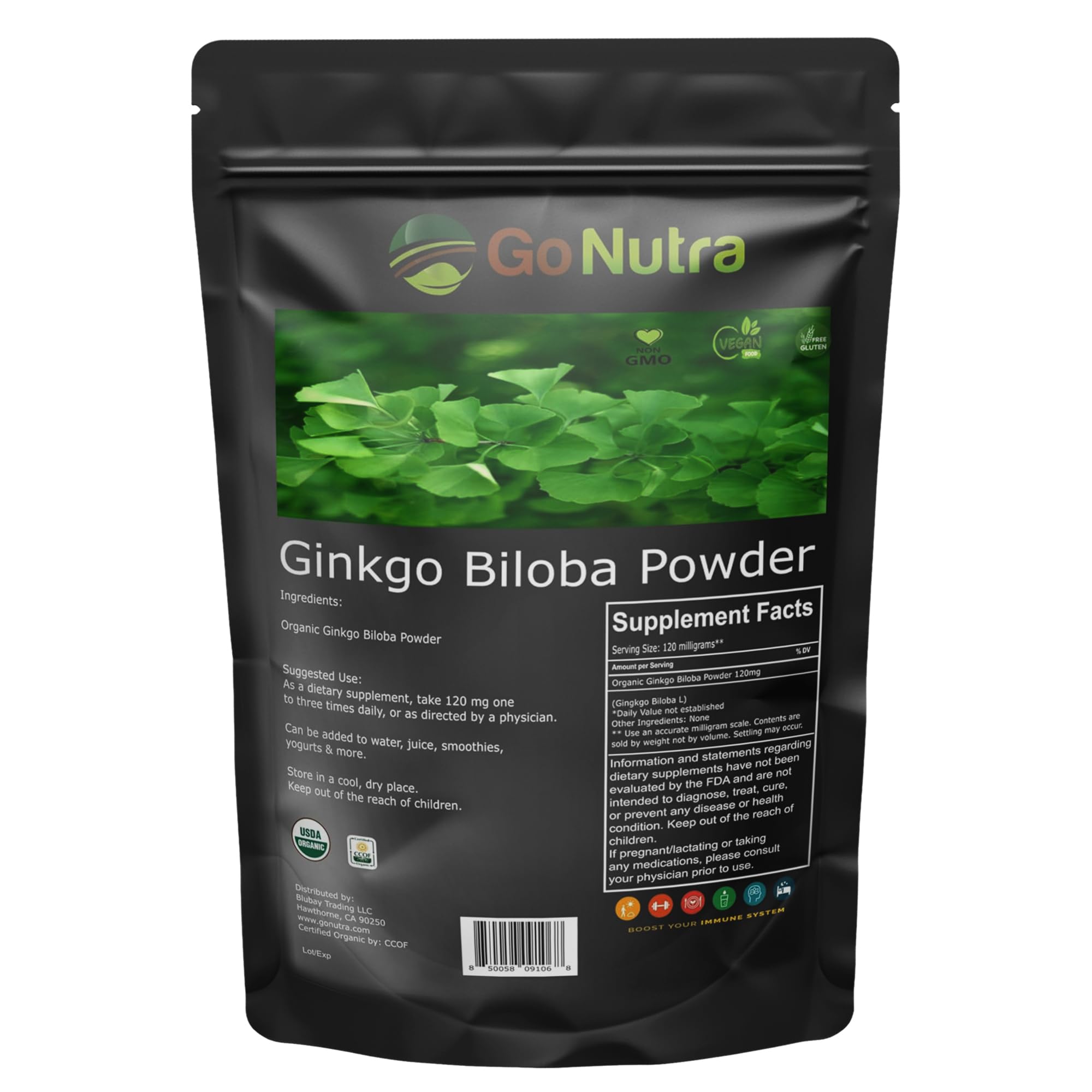 ginkgo biloba for cognitive health
