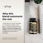 ginkgo biloba for cognitive support