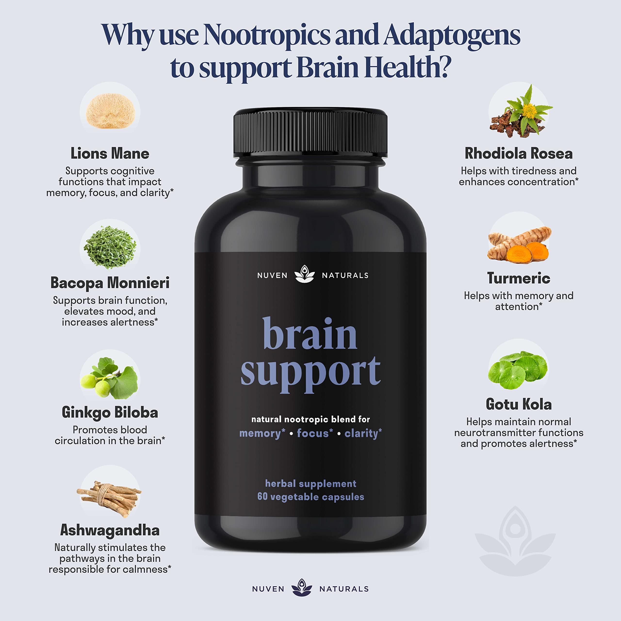 ginkgo biloba for cognitive support