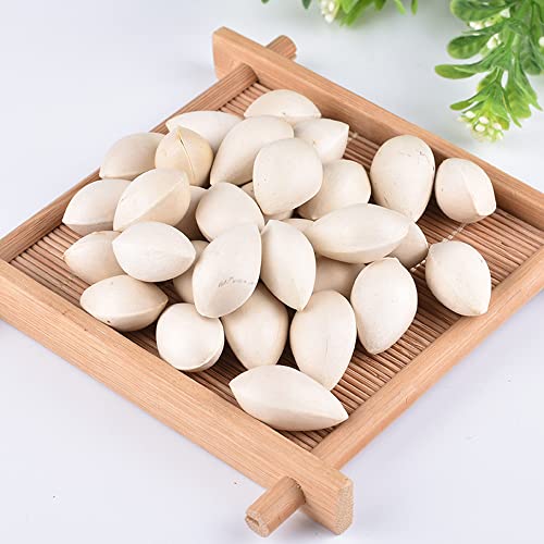 ginkgo biloba for cognitive support