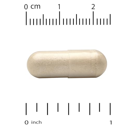 ginkgo biloba for cognitive support