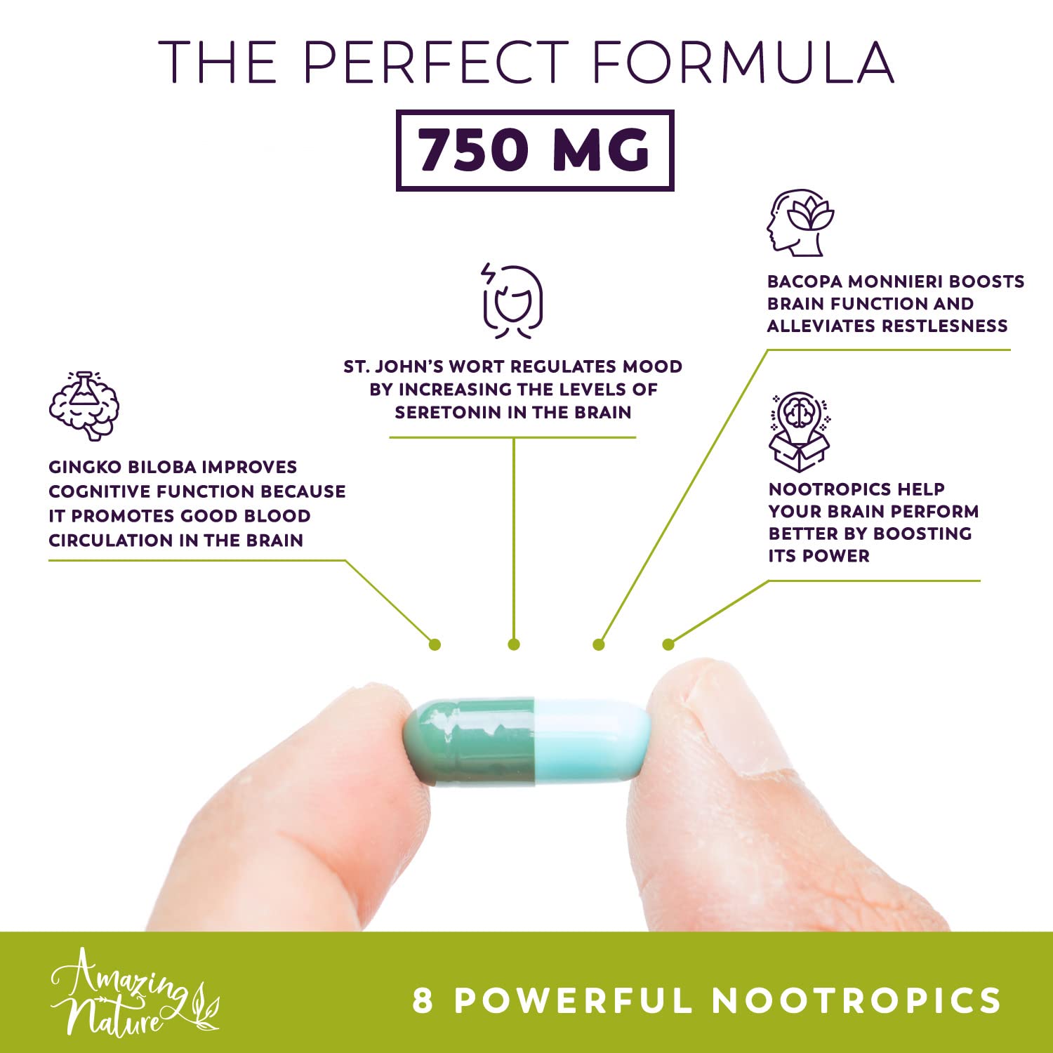 ginkgo biloba for cognitive support