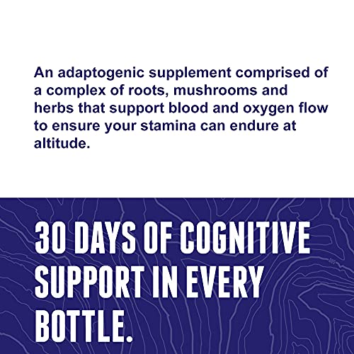 Ginkgo biloba for cognitive support